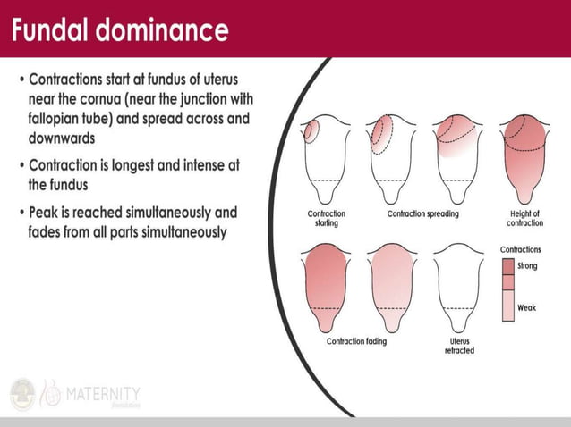 MANAGEMNET OF STAGES OF LABOUR and amtsl.pptx