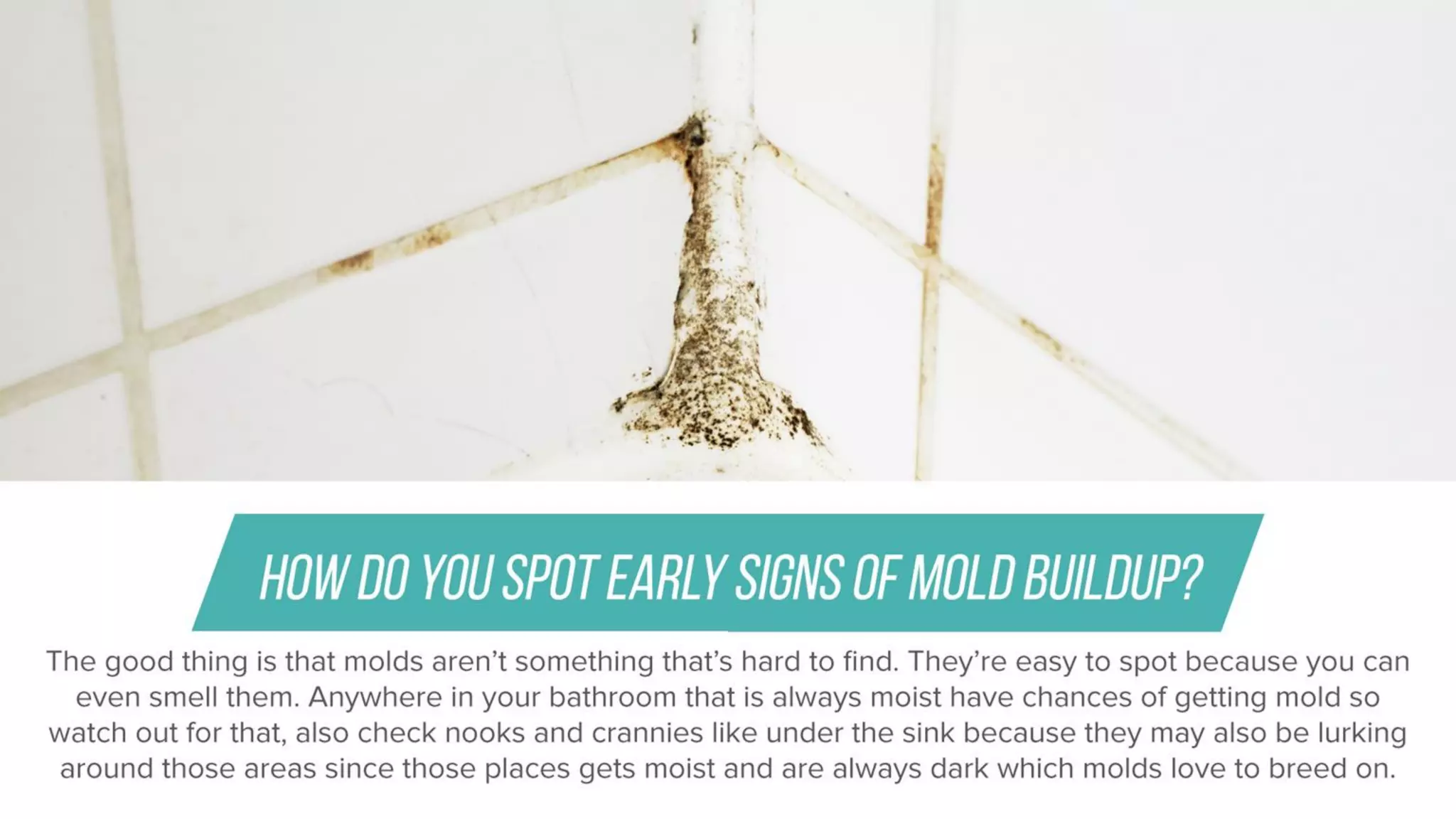 Manage Mold Build Up In Your Bathroom | PPT