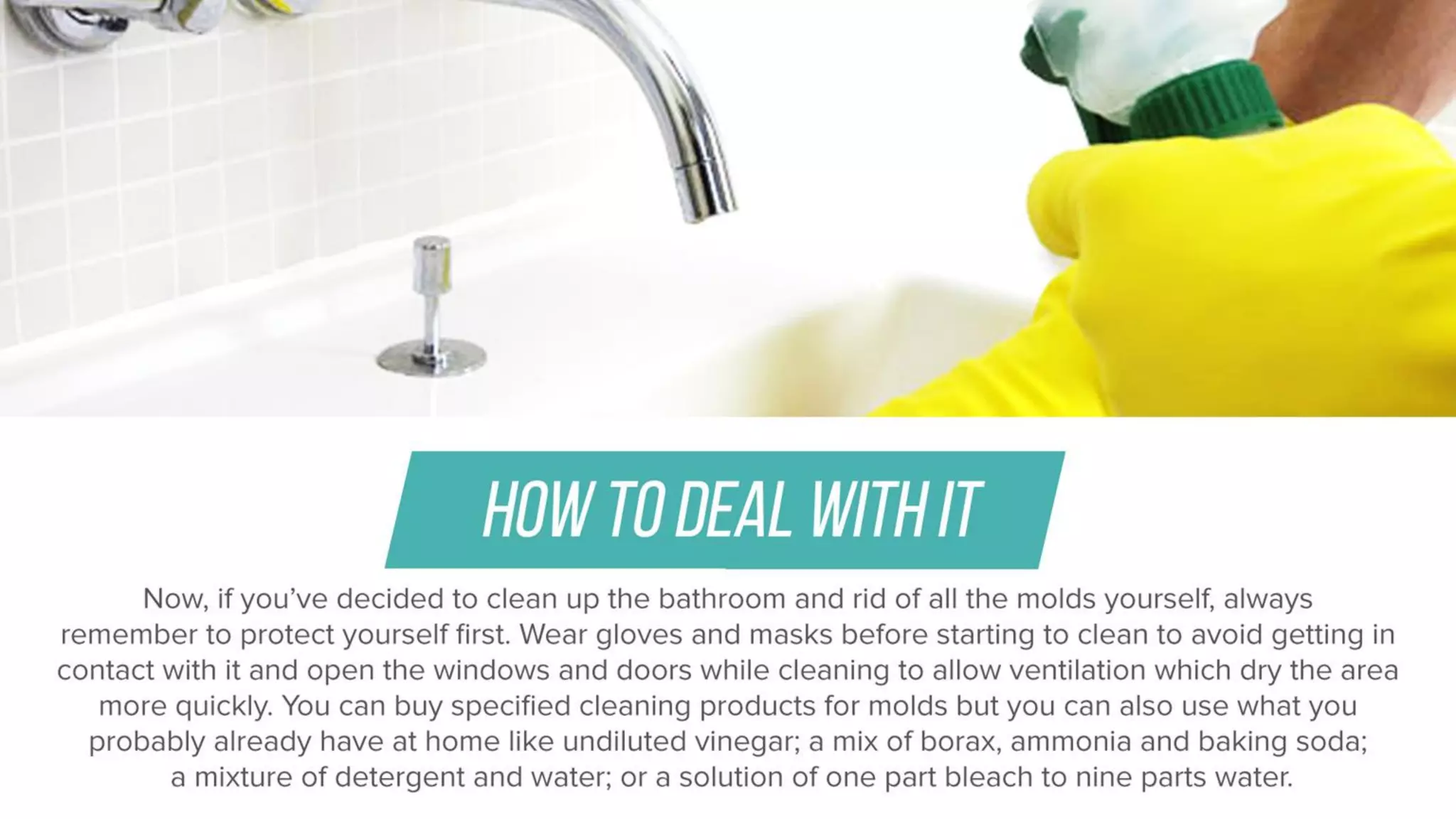 Manage Mold Build Up In Your Bathroom | PPT