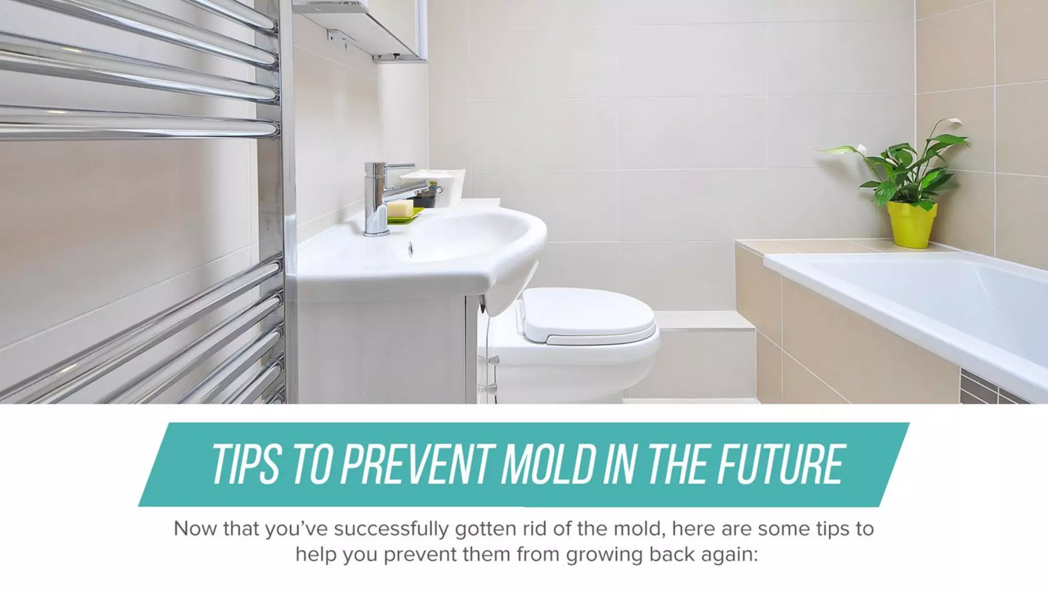 Manage Mold Build Up In Your Bathroom | PPT