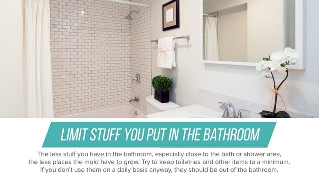 Manage Mold Build Up In Your Bathroom | PPT