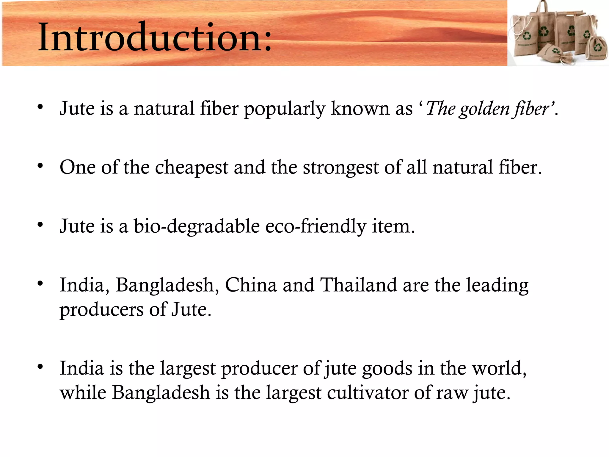 Business Model for Jute Products | PPT