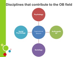 Managerial Roles in the Organization | Organization Behavior | | PPTX