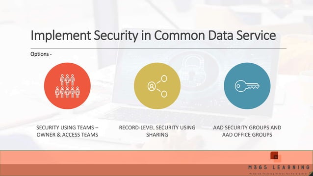 Manage security in Model-app Power App with Common data service | PPT