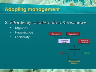 Managing coral reefs in the face of climate change: Is there any point ...