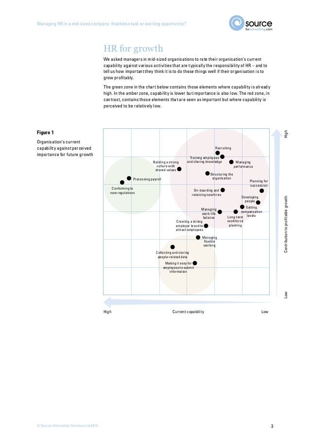Managing HR in a mid-sized company: thankless task or exciting opportunity?