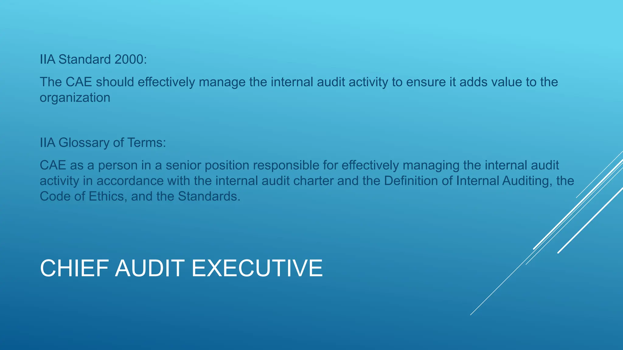 Managing-the-internal-audit-activity.pptx