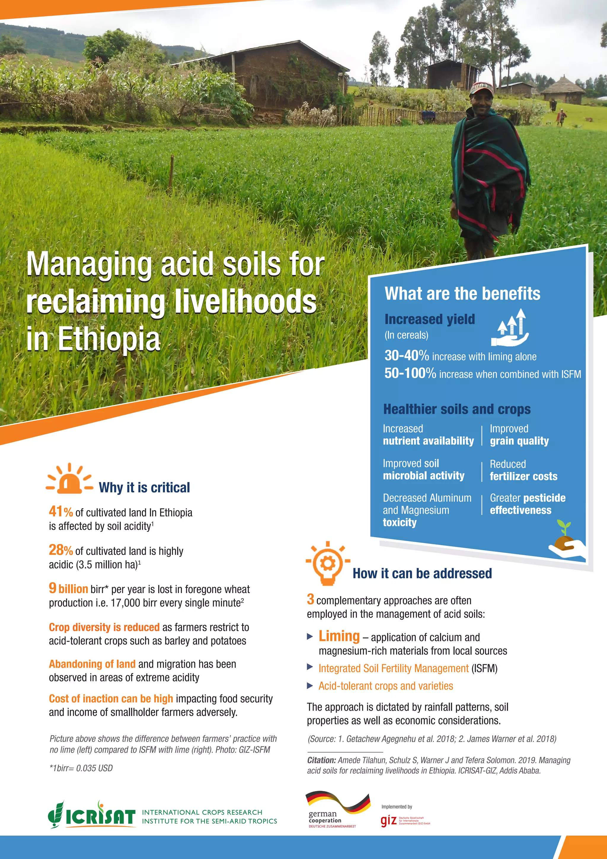 Managing acid soils for reclaiming livelihoods in Ethiopia | PDF