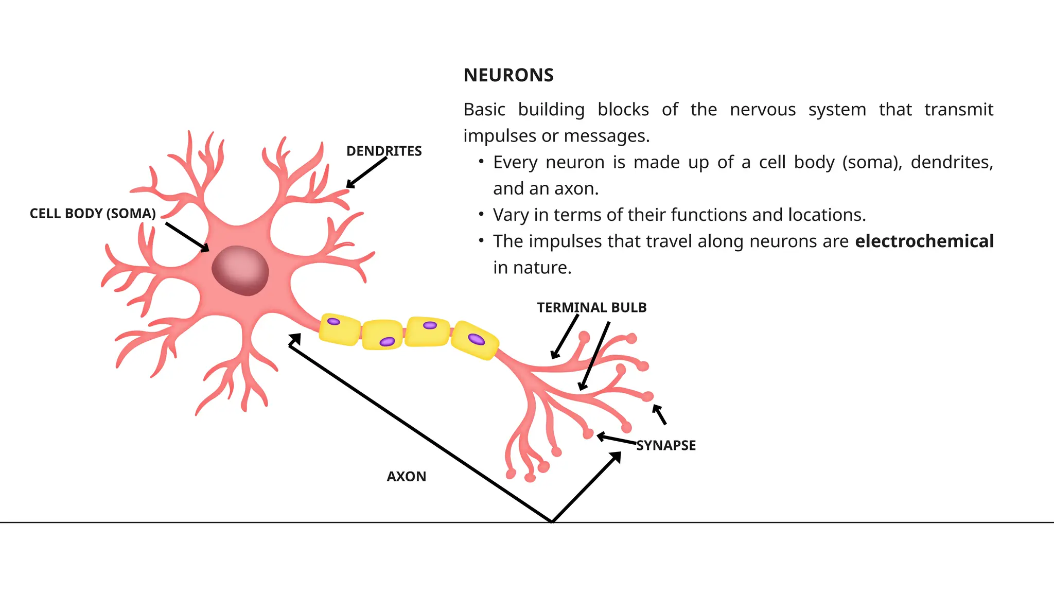 Managing and Caring for the Self (1).pptx