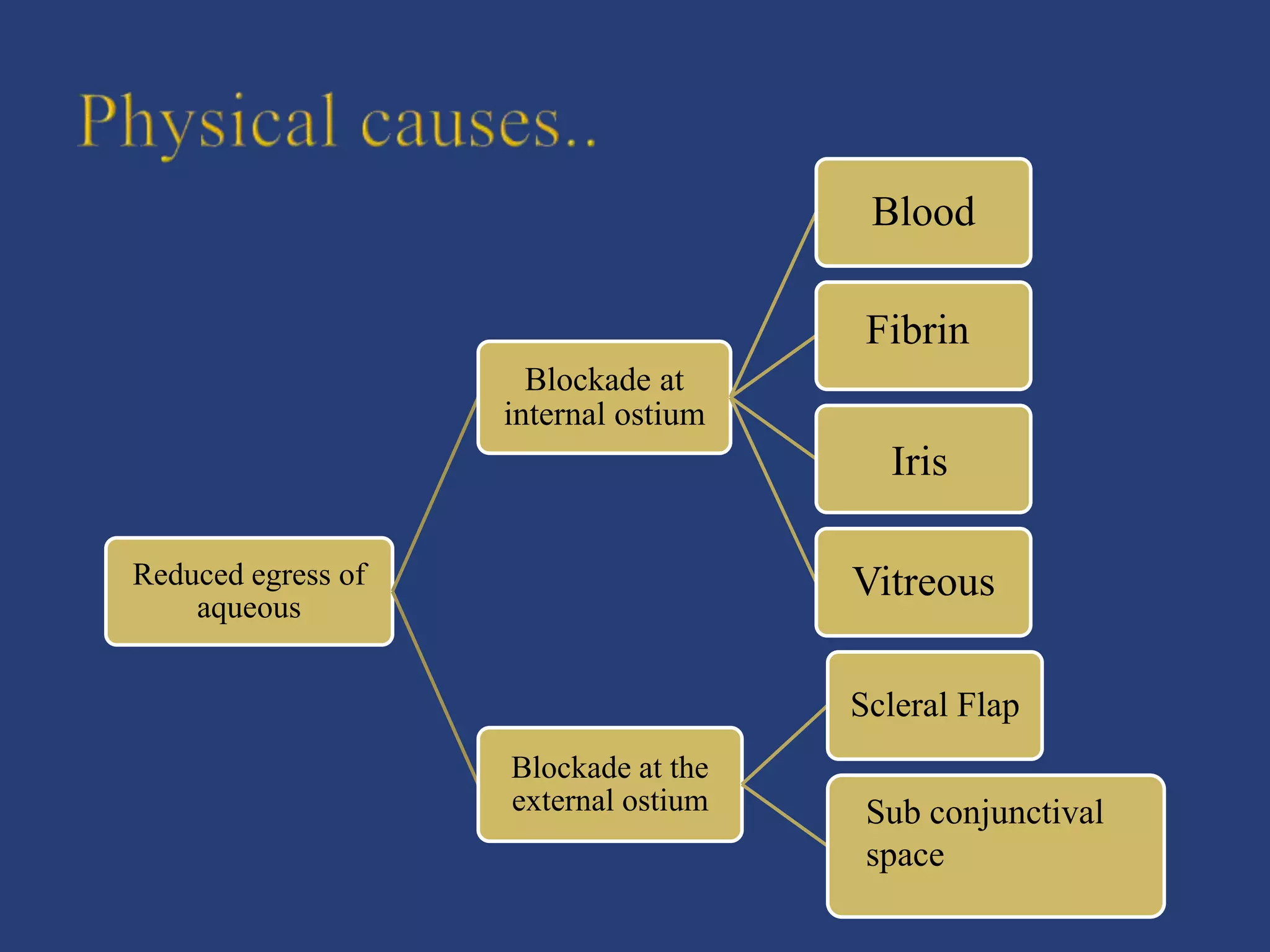 Managing bleb failure - A brief guide | PPTX