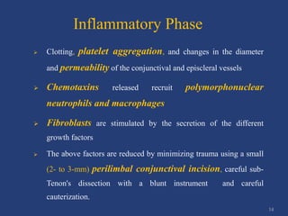 Managing bleb failure - A brief guide | PPTX