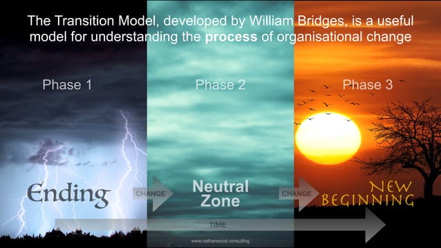 Managing Change with The Transition Model | PDF