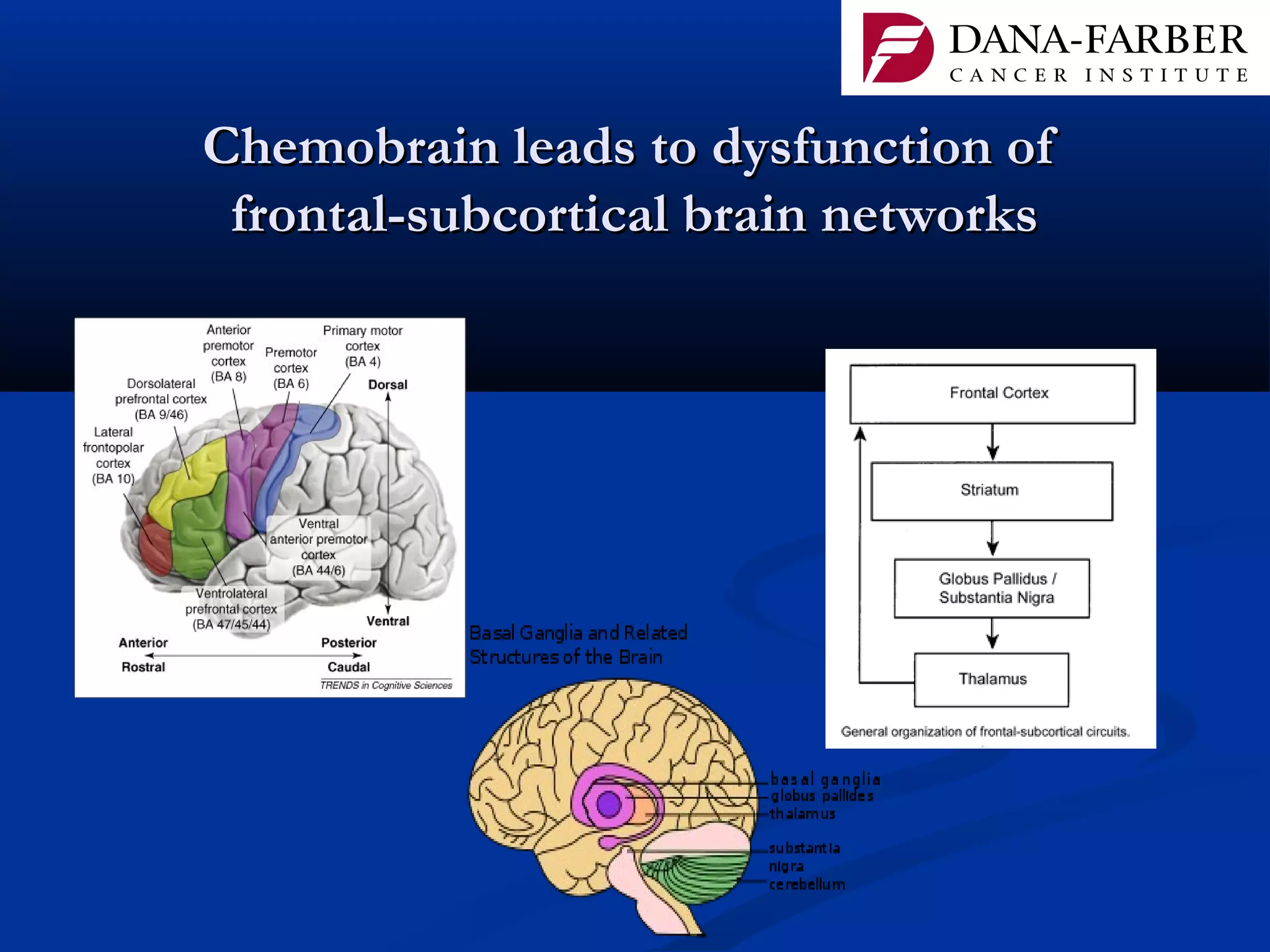 How to Manage Chemobrain | PPT
