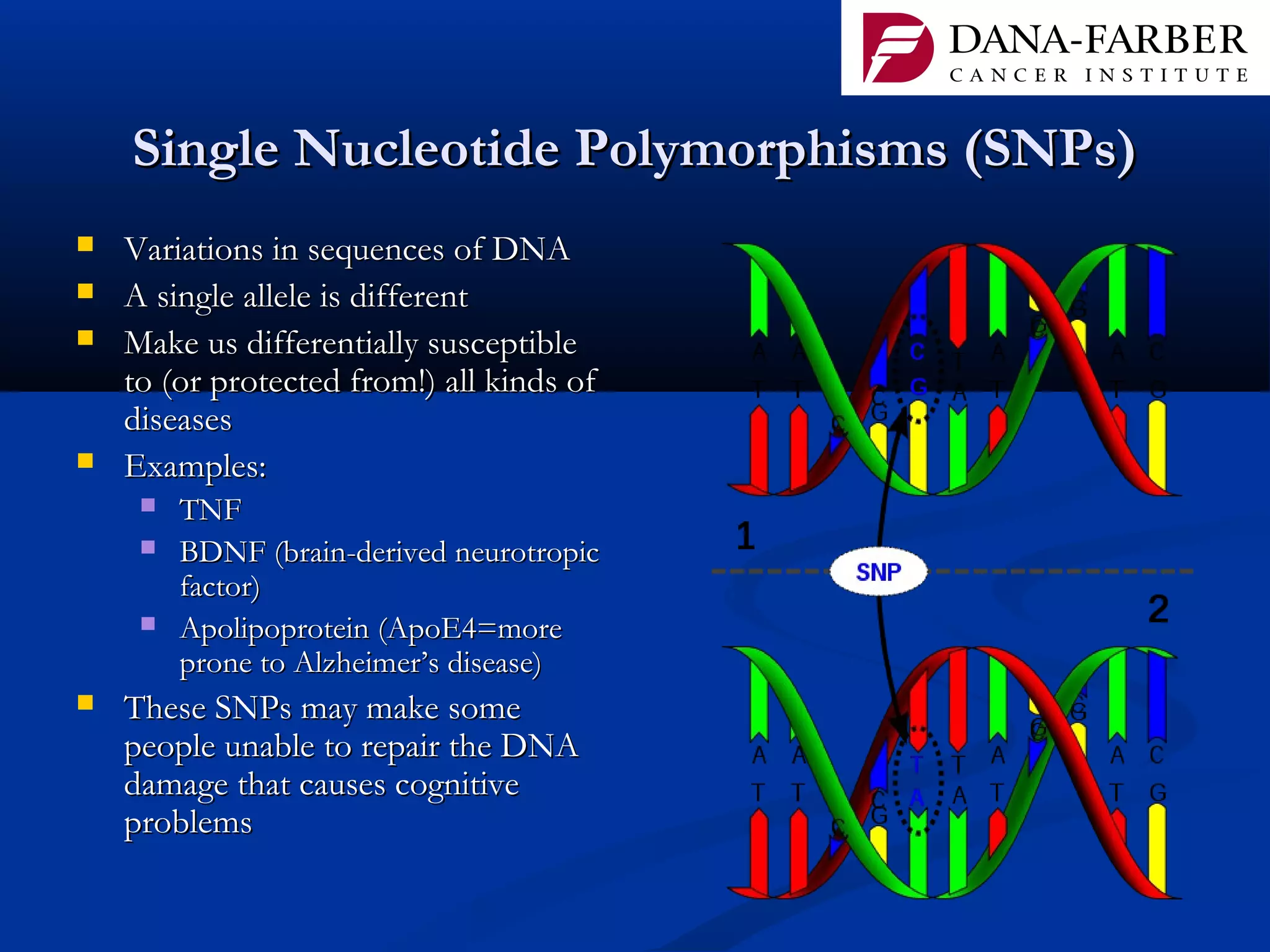 How to Manage Chemobrain | PPT