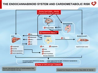 Managing cardiometabolic risk | PPT
