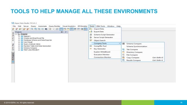 IDERA Slides: Managing Complex Data Environments | PPT