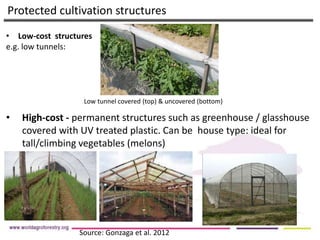 Managing ecosystems using low cost protected cultivation with ...