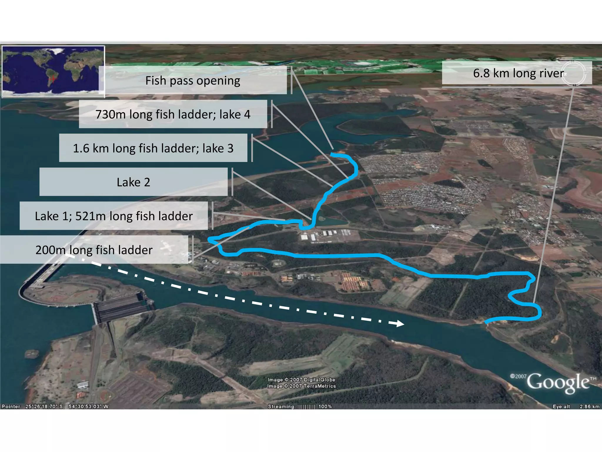 Managing fish passage through large dams | PPTX | Fish and Aquariums | Pets