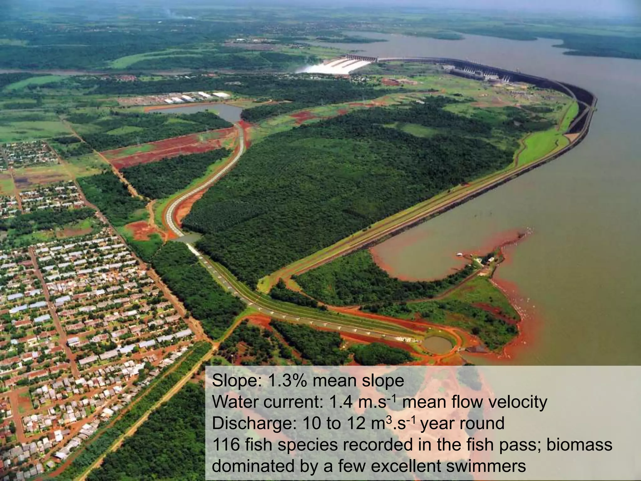 Managing fish passage through large dams | PPTX | Fish and Aquariums | Pets