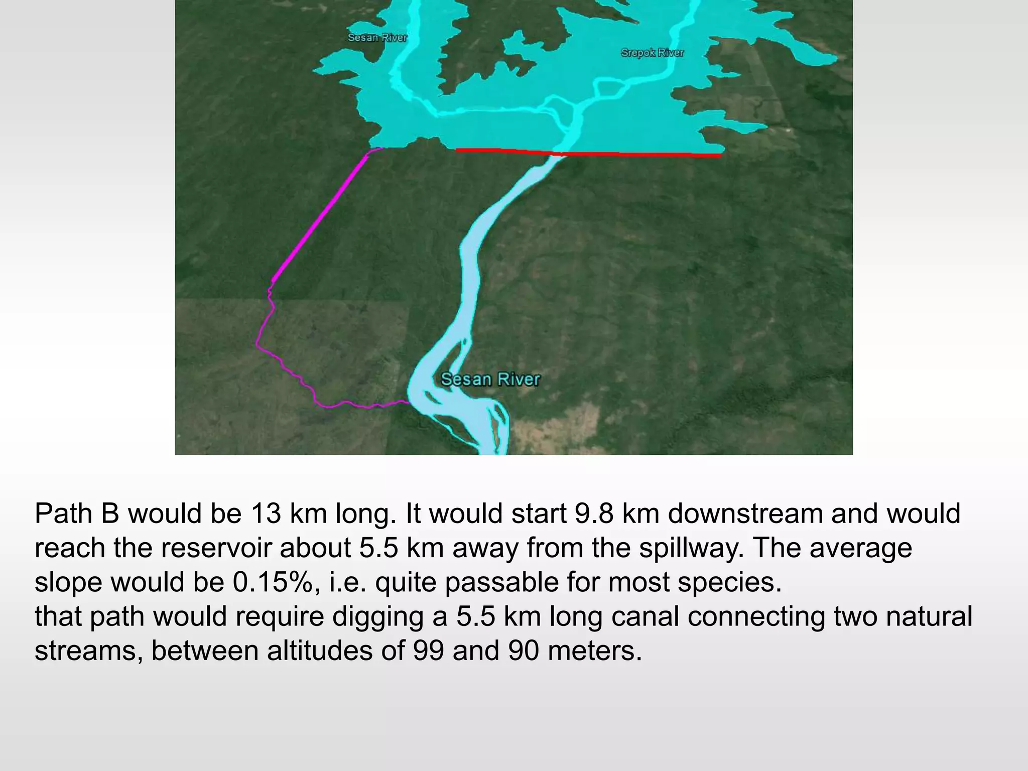 Managing fish passage through large dams | PPTX | Fish and Aquariums | Pets