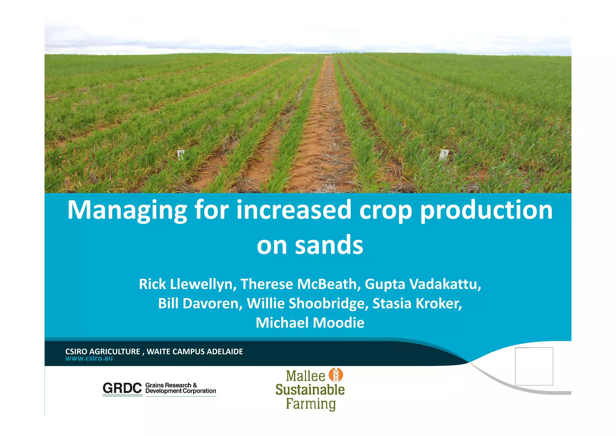 Managing for increased crop production on sands (Manangatang) - Rick ...