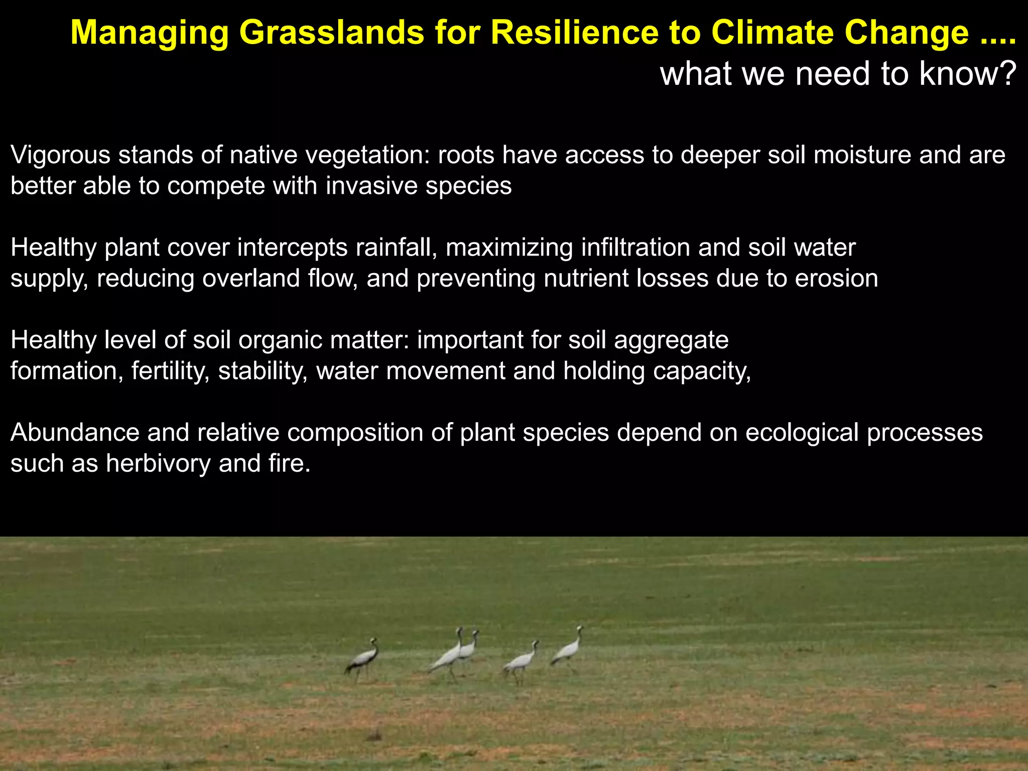 Managing Grasslands Ecosystems in a Changing Climate: opportunities for ...