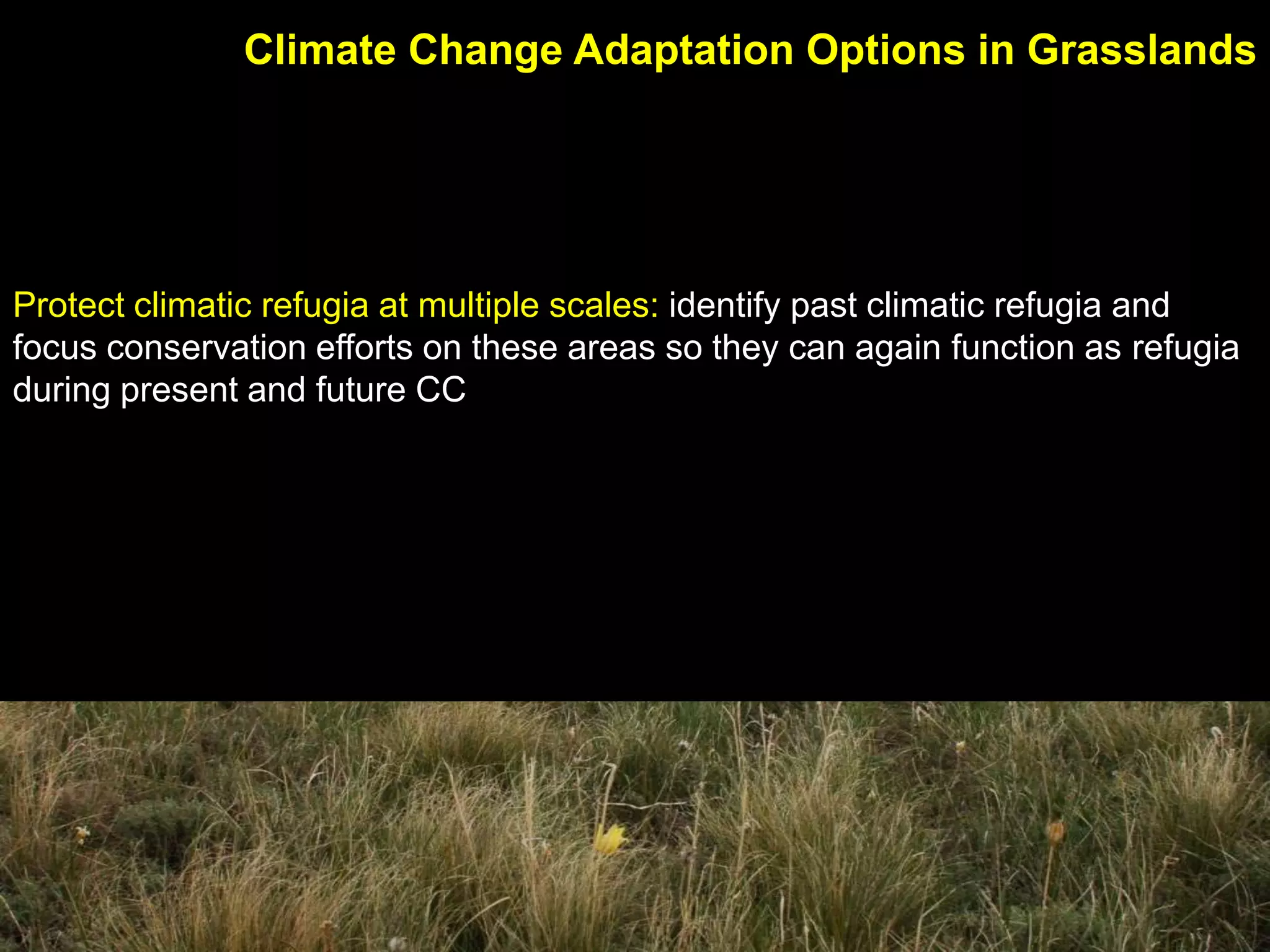 Managing Grasslands Ecosystems in a Changing Climate: opportunities for ...