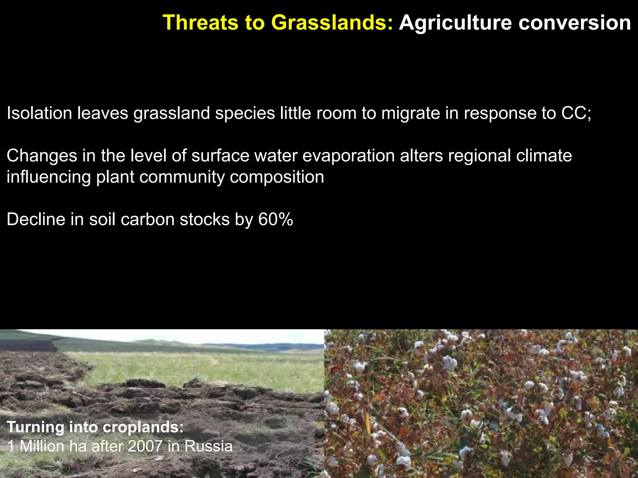 Managing Grasslands Ecosystems in a Changing Climate: opportunities for ...
