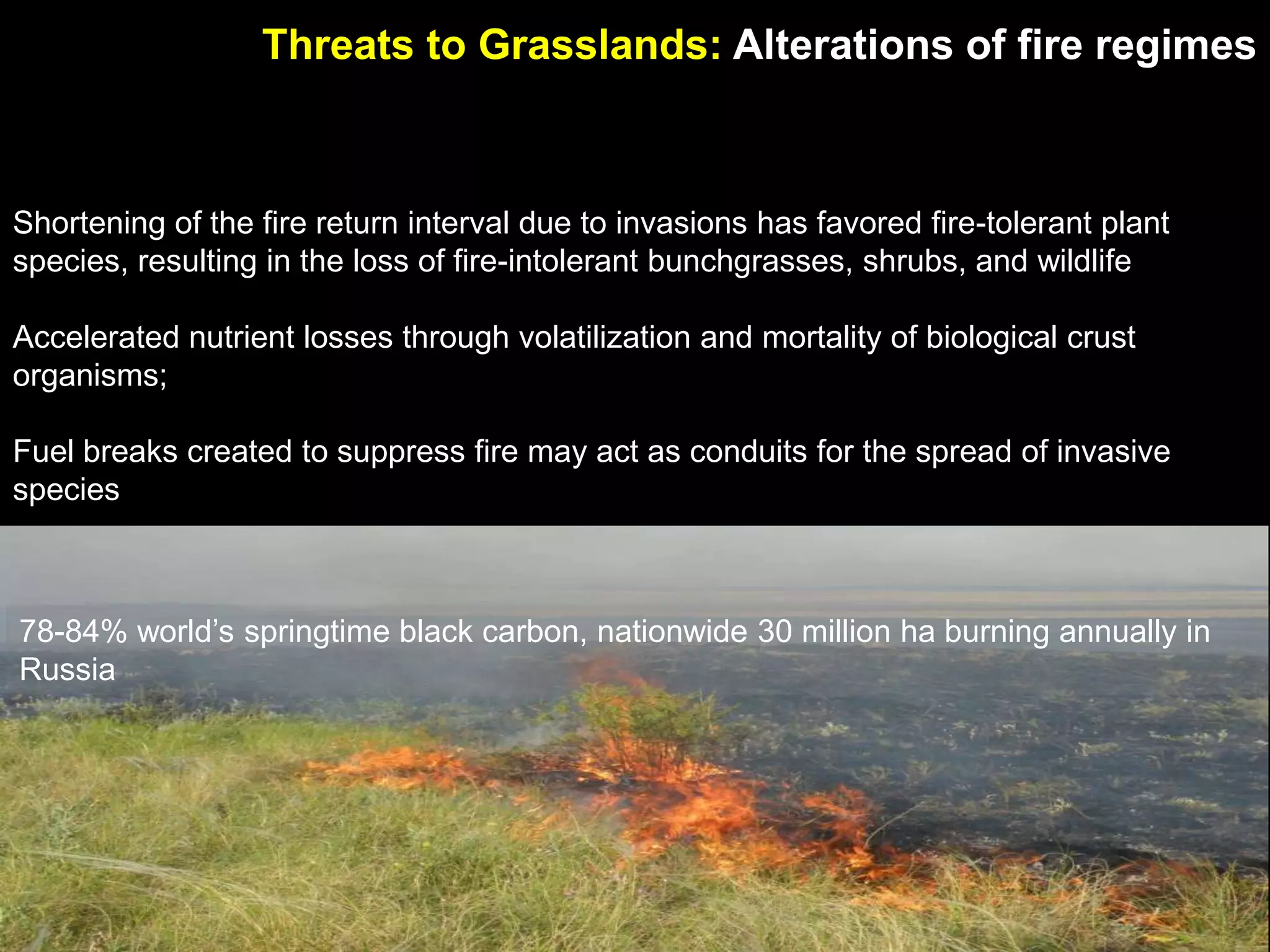 Managing Grasslands Ecosystems in a Changing Climate: opportunities for ...