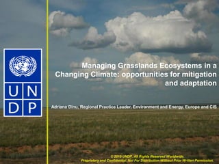 Managing Grasslands Ecosystems in a Changing Climate: opportunities for ...