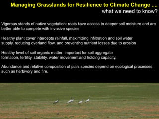Managing Grasslands Ecosystems in a Changing Climate: opportunities for ...