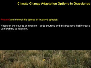 Managing Grasslands Ecosystems in a Changing Climate: opportunities for ...