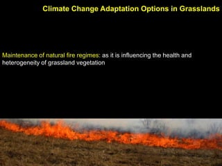 Managing Grasslands Ecosystems in a Changing Climate: opportunities for ...