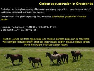 Managing Grasslands Ecosystems in a Changing Climate: opportunities for ...