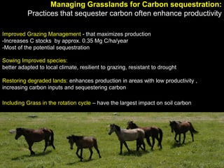 Managing Grasslands Ecosystems in a Changing Climate: opportunities for ...