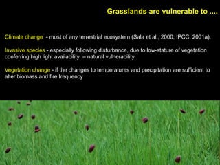 Managing Grasslands Ecosystems in a Changing Climate: opportunities for ...