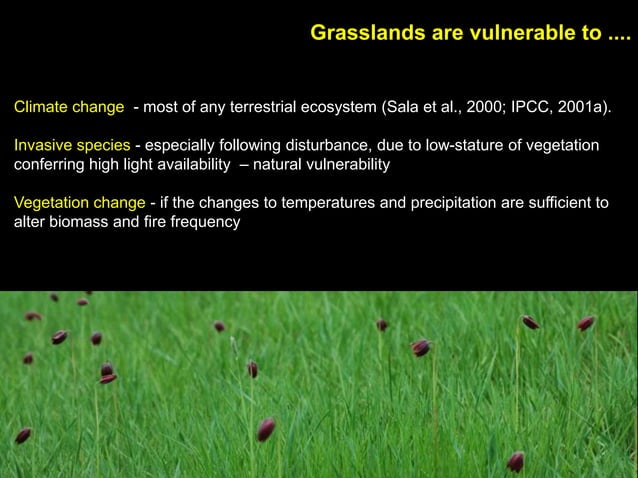 Managing Grasslands Ecosystems in a Changing Climate: opportunities for ...