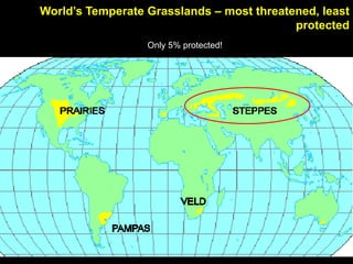Managing Grasslands Ecosystems in a Changing Climate: opportunities for ...