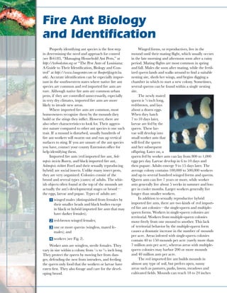 Managing Imported Fire Ants In Urban Areas | PDF | Agriculture | Industries