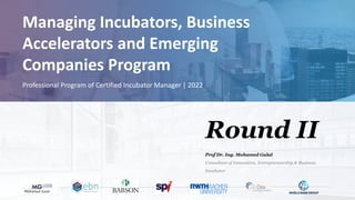 Managing Incubators, Business accelerators and emerging companies ...