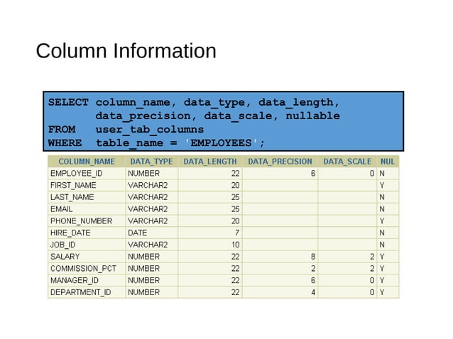 Managing Objects With Data Dictionary Views Ppt Databases Computer Software And Applications