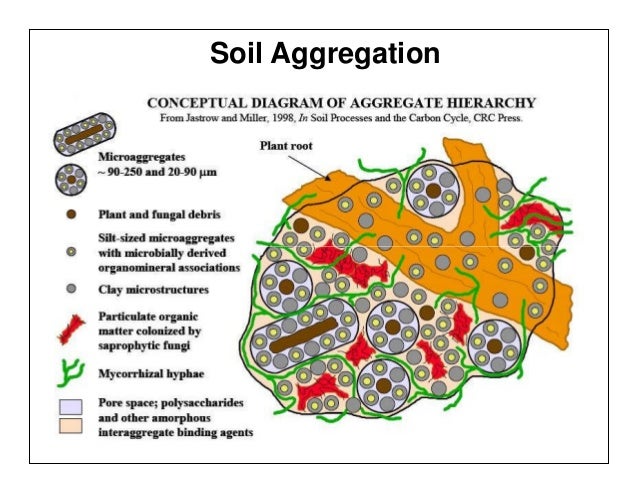 Managing Organic Matter for Soil Health and Fertility