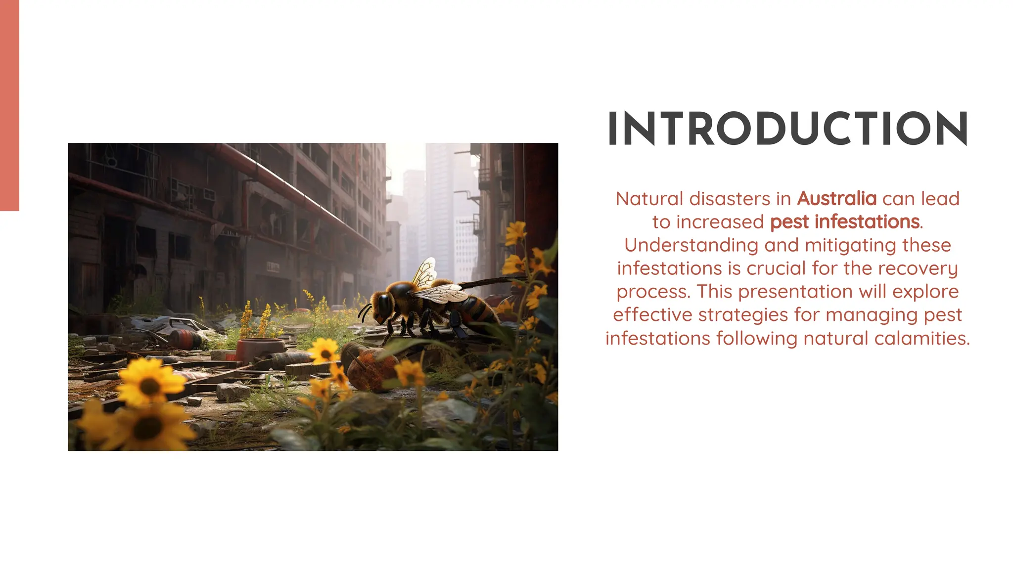 Managing Pest Outbreaks After Natural Disasters in Australia.pdf