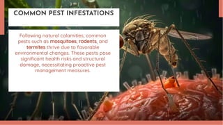 Managing Pest Outbreaks After Natural Disasters in Australia.pdf