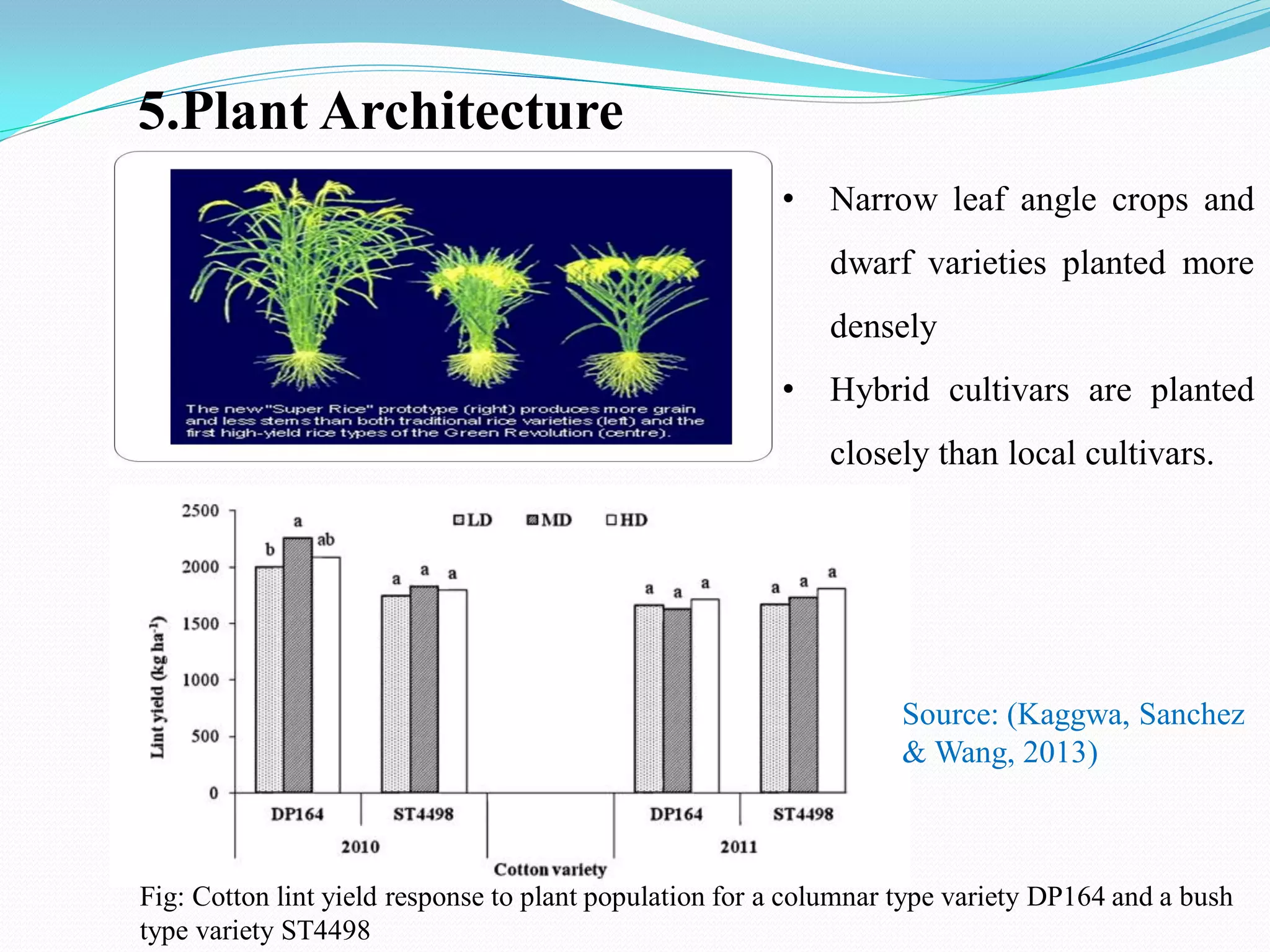 Managing plant population and competition in Field Crops | PDF