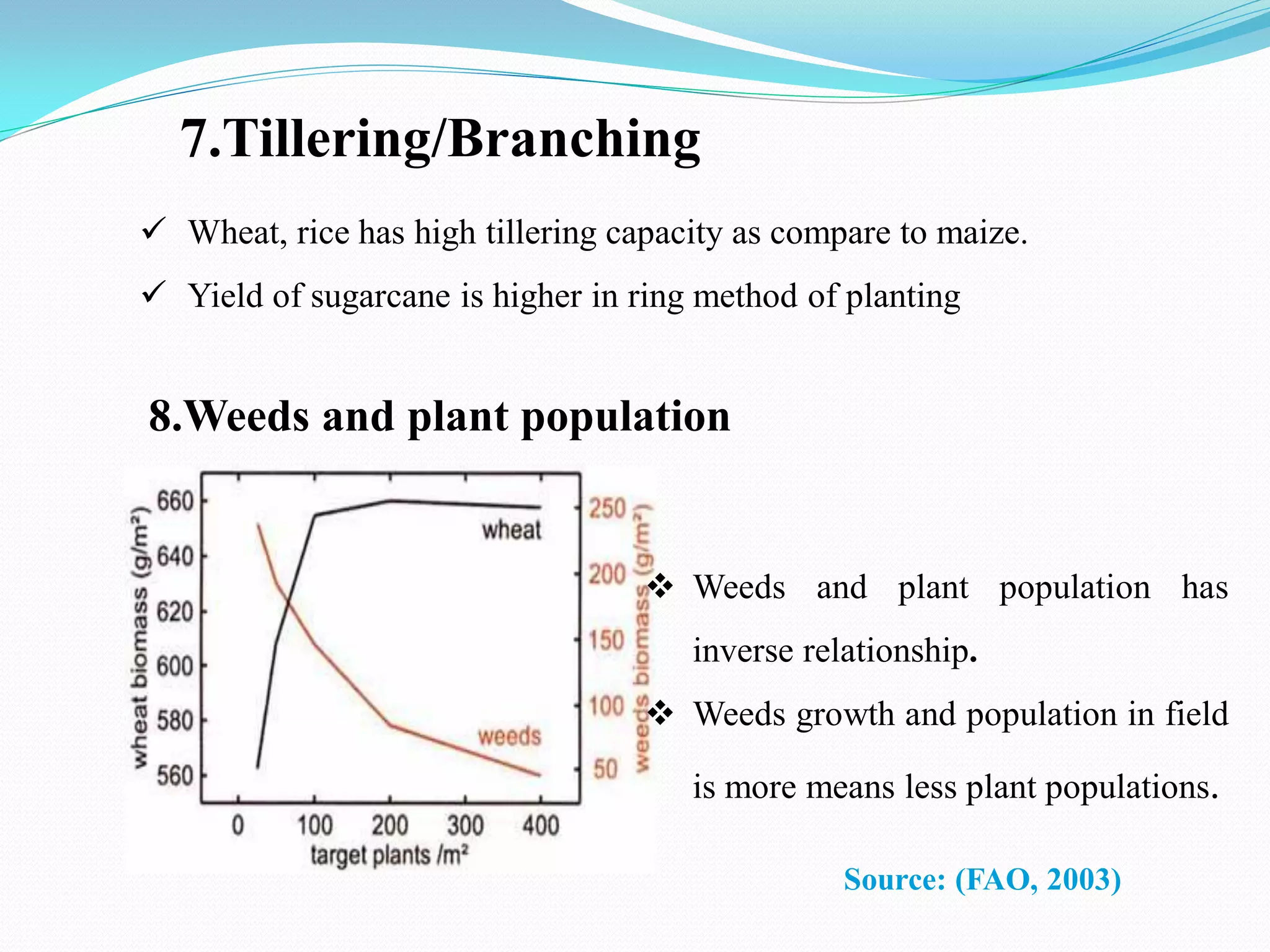 Managing plant population and competition in Field Crops | PDF