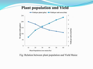 Managing plant population and competition in Field Crops | PDF