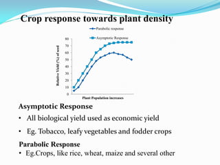 Managing plant population and competition in Field Crops | PDF