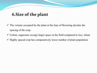 Managing plant population and competition in Field Crops | PDF