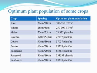 Managing plant population and competition in Field Crops | PDF